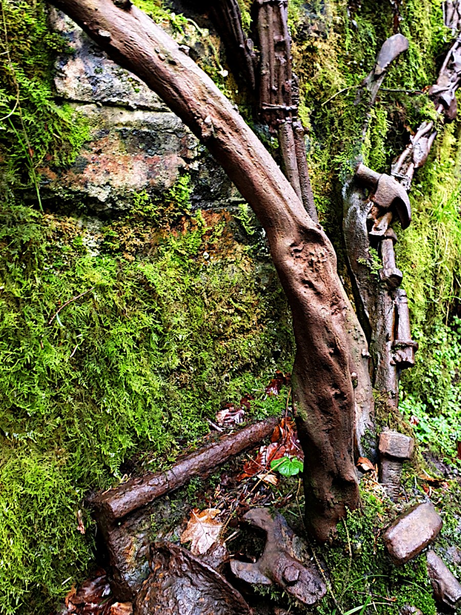 Tree-Forge – Brandon Lim